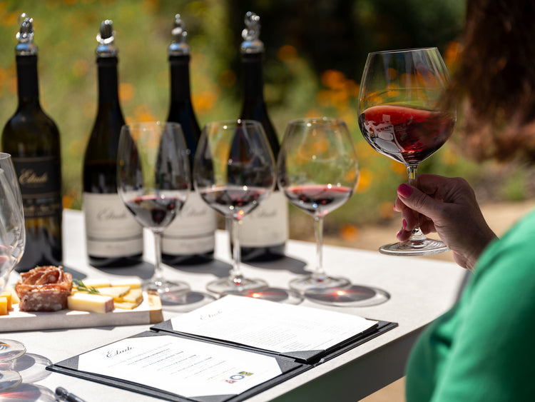 Etude Winery - Wine Excellence in Carneros